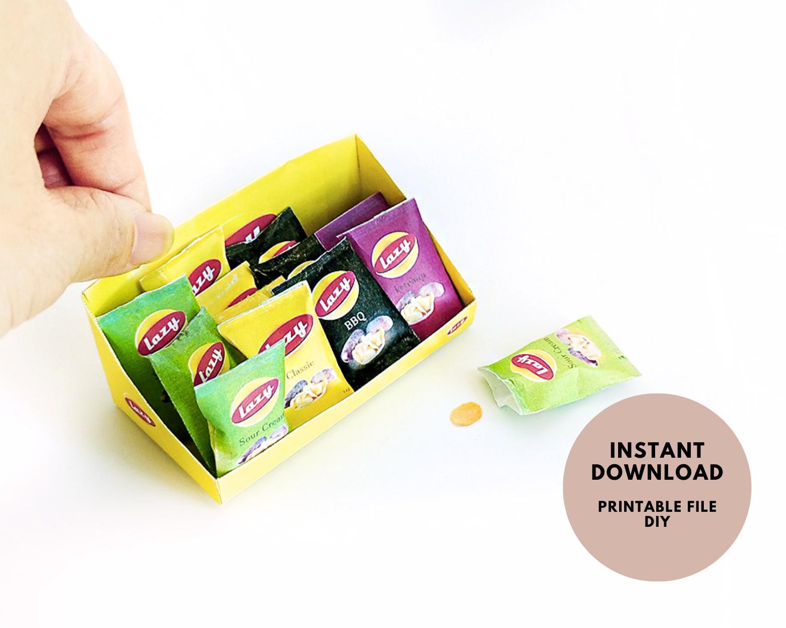 4 styles of chips with display tray – Build My Mini