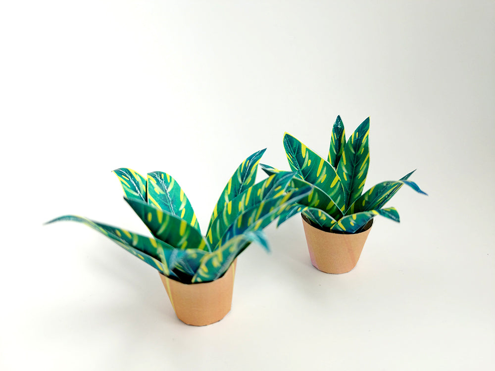 Mini pot plants garden backyard office decoration for barbie and dollh ...